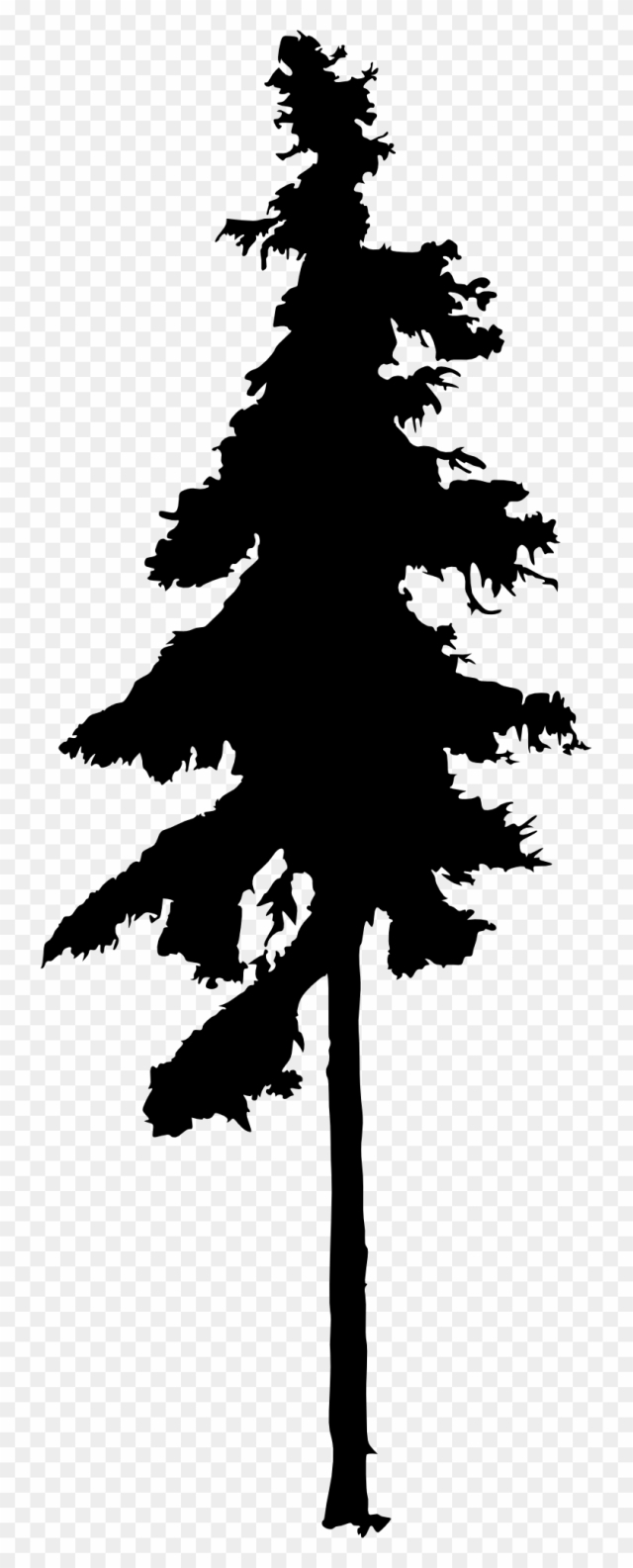 Free: Pine Tree Drawing - Tall Pine Tree Silhouette - nohat.cc