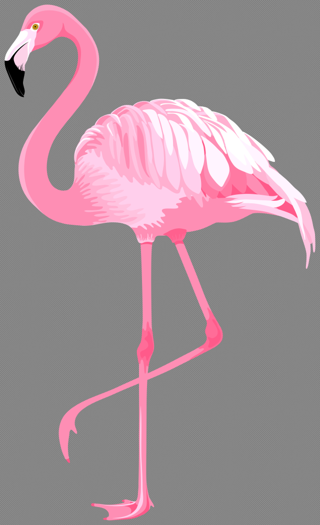 Free: Pink Flamingo PNG Clipart | Gallery Yopriceville - High-Quality ...
