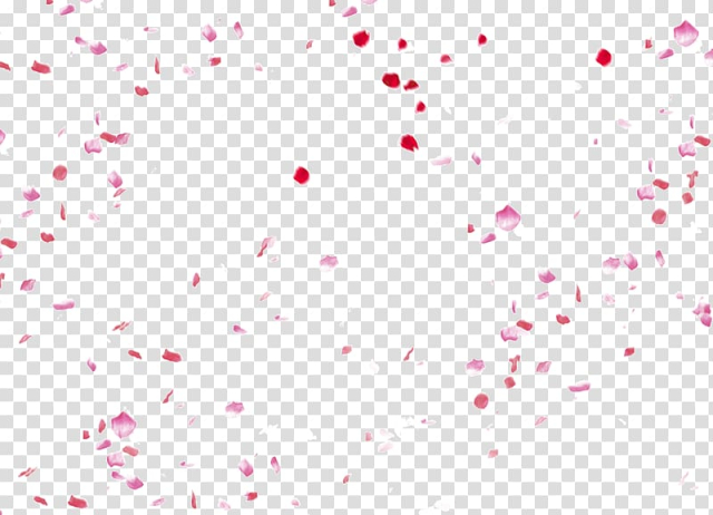 Free: Pink flower petls, Petal Beach rose Flower, Beautiful flower ...