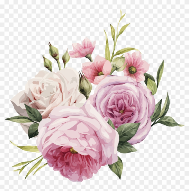 Free: Pink Flowers Rose Color - Pink Rose Vector Png - nohat.cc