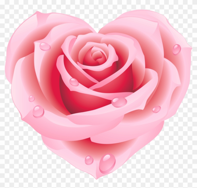 Free: Pink Rose Clip Art - Pink Rose Clip Art - nohat.cc