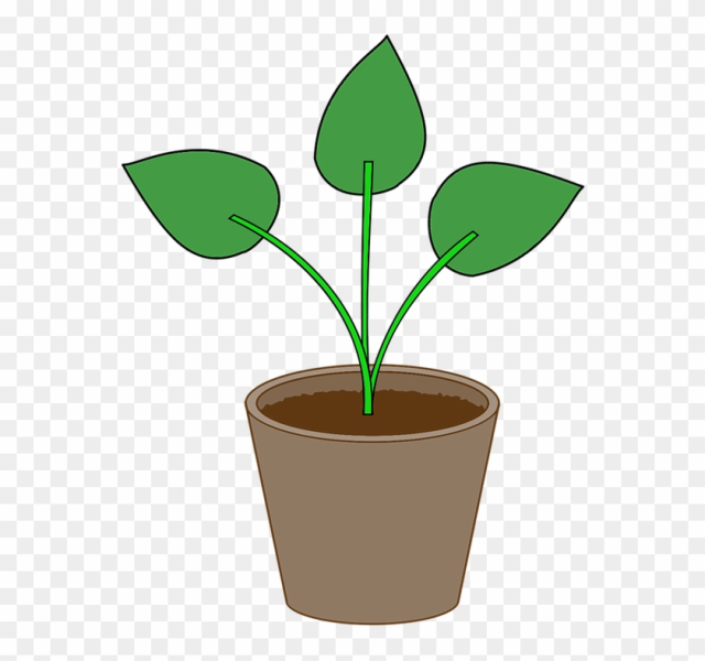 Free: Plant, Flowerpot, Pot, Gardening, Leaf, Houseplant - Crop - nohat.cc