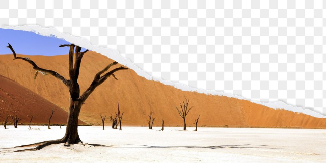 Free: PNG dead trees border, ripped | Free PNG - rawpixel - nohat.cc