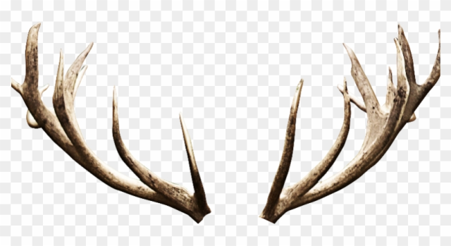 Free: Png Free Download Antlers Transparent Background - Deer Antlers ...