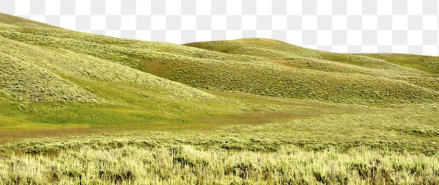 Free: Png green hills border, beautiful | Free PNG - rawpixel - nohat.cc