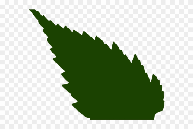 Free: Pointy Cliparts - Rose Leaf Png Vector - nohat.cc