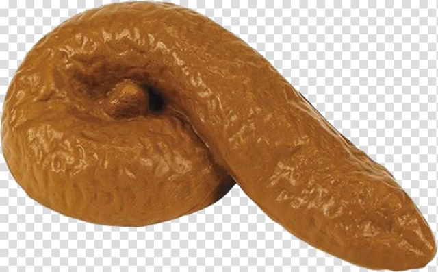 Free: Poop PNG images free download - nohat.cc
