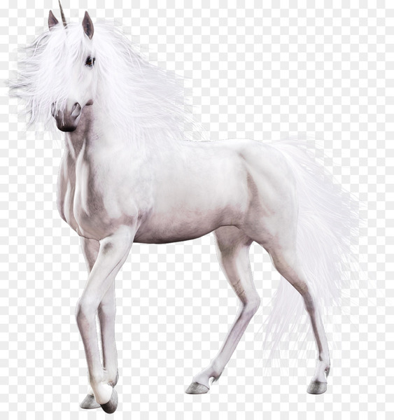 Free: Portable Network Graphics Unicorn Pony Mustang Clip art - unicorn ... Free: Portable Network Graphics Unicorn Pony Mustang Clip art - unicorn ...