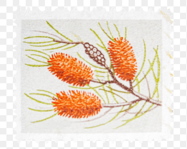 Free: Postcard stamp png sticker, transparent | Free PNG - rawpixel ...