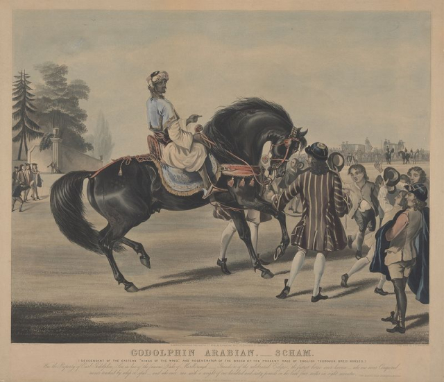 Free: [Racing]: (1) Godolphin Arabian - | Free Photo - rawpixel - nohat.cc