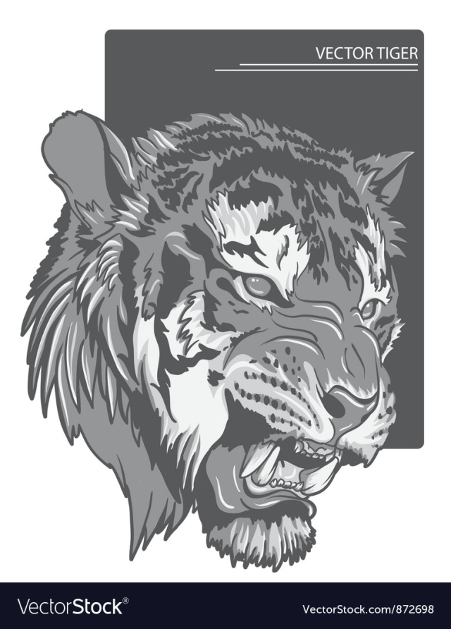 Free: Raging tiger vector image - nohat.cc