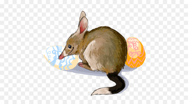 Free: Rat, Computer Mouse, Fauna, Mammal, Vertebrate PNG - nohat.cc