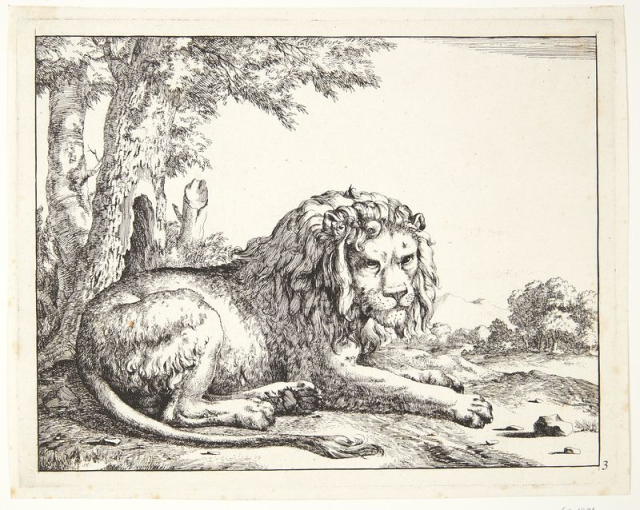 Free: Reclining lion facing right by Marcus | Free Photo - rawpixel ...