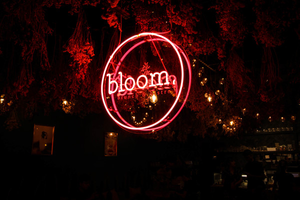 Free: Red Bloom Neon Light Signage - nohat.cc
