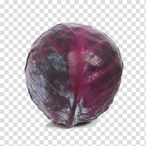 Free: Red cabbage Vegetable Purple, Organic purple cabbage transparent ...