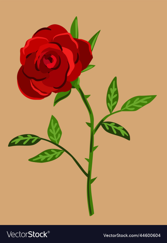 Free: red rose - nohat.cc