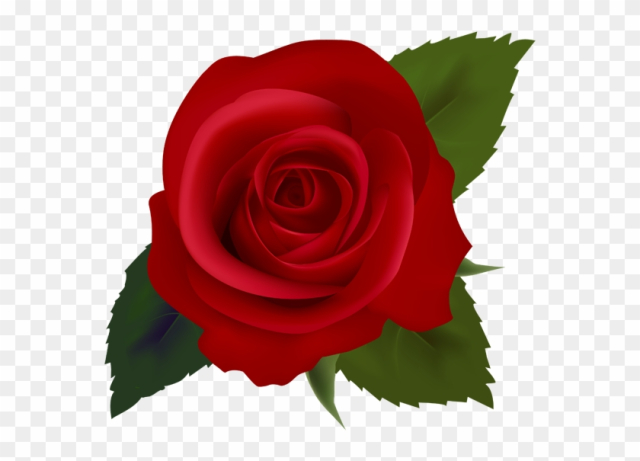 Free: Red Roses Clip Art Images - Rose - nohat.cc