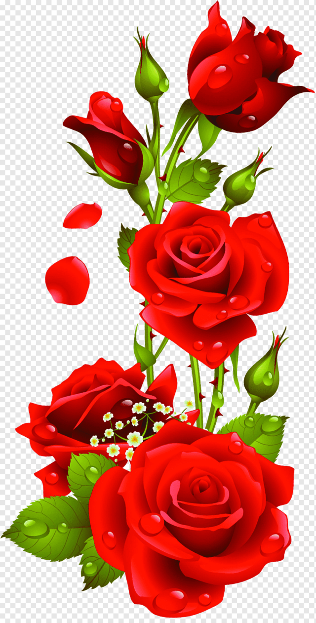 Free: red roses illustration, Rose, Rose, love, flower Arranging, heart ...