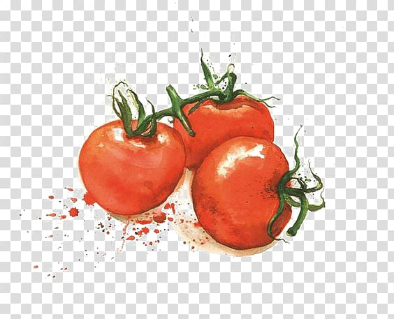 Free: Red tomato painting, Tomato Varenye Fruit Vegetable Illustration ...