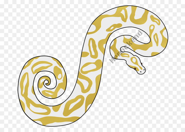 Free: Reptile Clip art Line Body Jewellery - albino pattern - nohat.cc