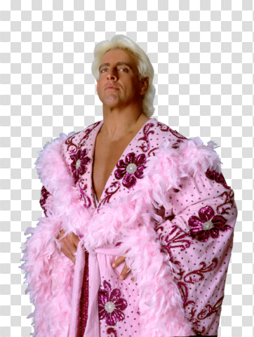 Free: Ric Flair Png (93+ images in Collection) Page 1 - nohat.cc