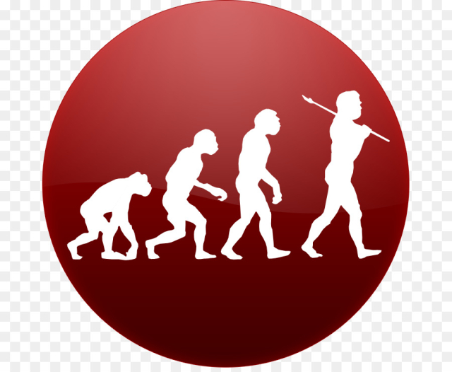 Free: Rock, Evolution, Human Evolution, Circle PNG - nohat.cc
