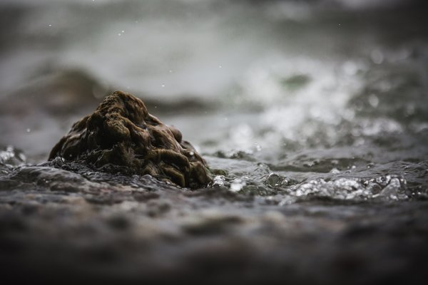 Free: Rock Sticking Out Of Water - nohat.cc