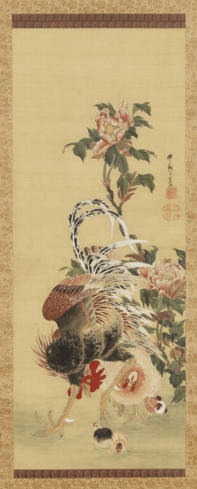 Free: rooster standing in wide stance, | Free Photo - rawpixel - nohat.cc