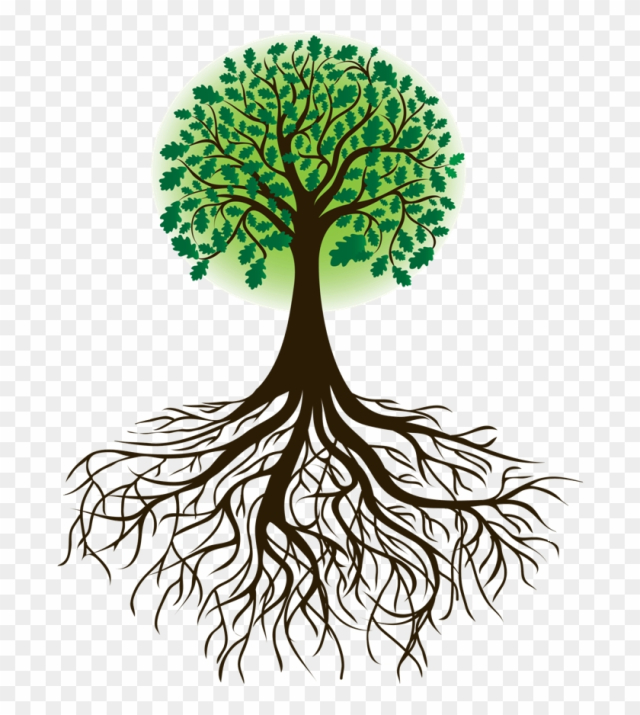 Free: Roots Clipart Cartoon - Tree With Roots Clipart - nohat.cc