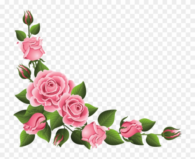 Rose Flowers Border Pink Rose Border Pattern Stock Photos, Images And