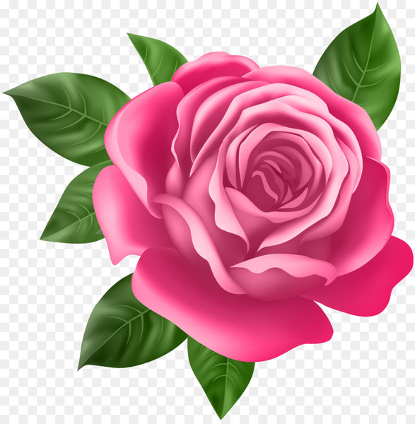 Free: Rose Flower Desktop Wallpaper Clip art - rose - nohat.cc