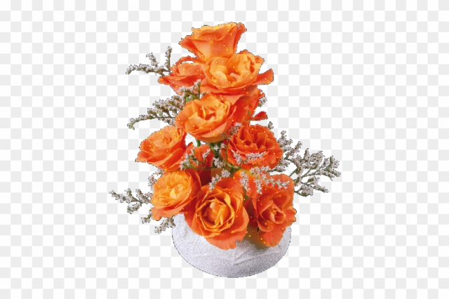 Free: Rose Images Hd Download - nohat.cc