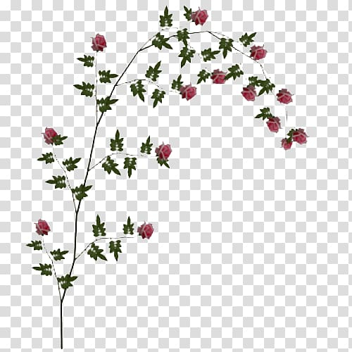Vine Rose Png Images Transpa Background - Infoupdate.org