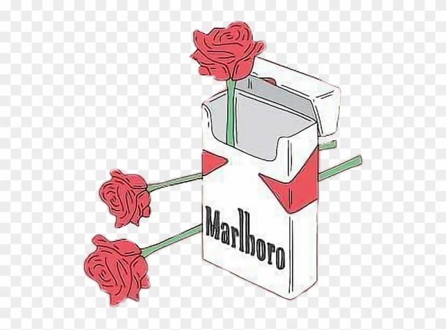 Free: Roses Aesthetic Cigarette Cigarettes Smoking Flowers - Rose And ...