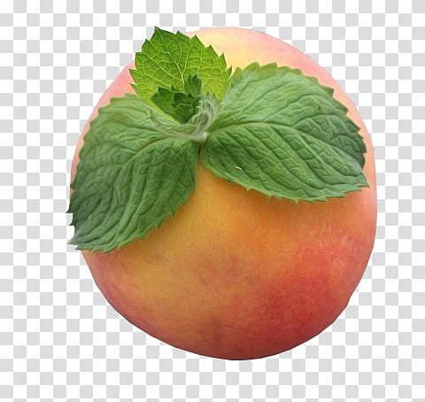 Free: , round red fruit transparent background PNG clipart - nohat.cc