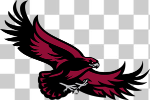 Free: Saint Joseph's Hawks Logo Vector - nohat.cc