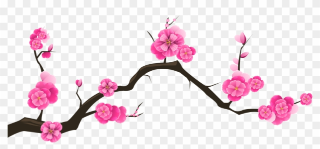 Free: Sakura Branch Transparent Clip Art Image - Transparent Background ...