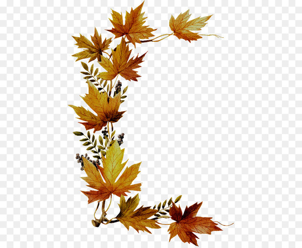 Free: Scary Halloween Scarecrow Idea Image Maple leaf - autumn leaves ...