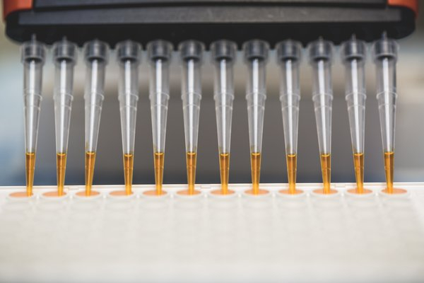 Free: Science Lab Pipettes For Genome Research - nohat.cc