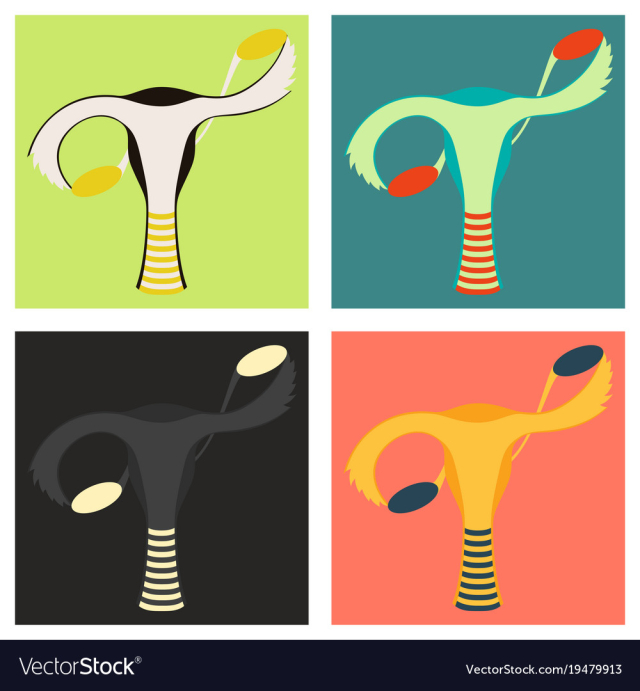 Free: Set of flat showing female reproductive system vector image ...