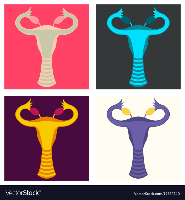 Free: Set of flat showing female reproductive system vector image ...