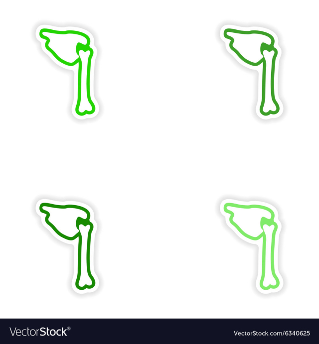 Free: Set paper stickers on white background human bones vector image ...