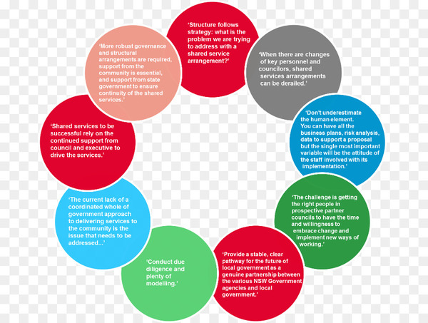 Free: Shared services Organization Local government Management ...