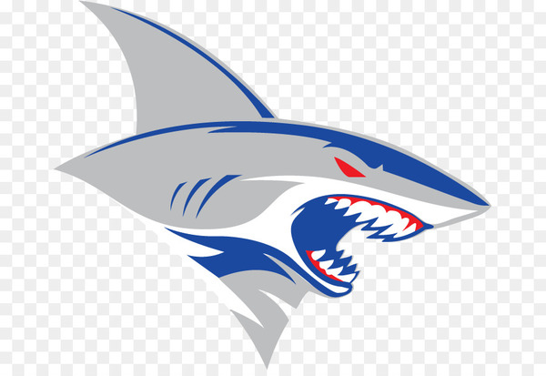 Free: Shark, Logo, American Football, Fish PNG - nohat.cc