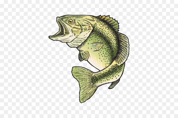 Free: Shark Northern pike Siamese fighting fish Bluegill - shark - nohat.cc