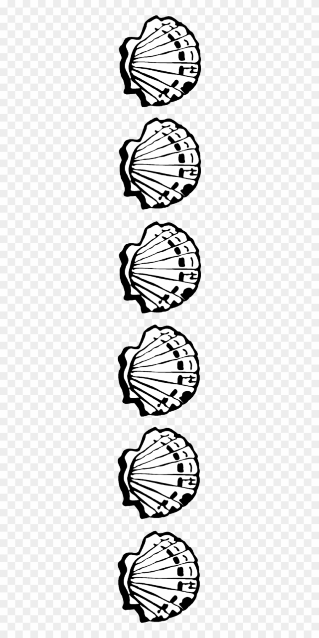 Free: Shell Transparent Border Png Free Stock - Seashell Border Black ...