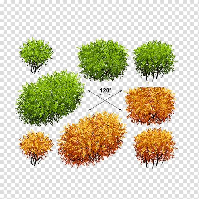 Free: Shrub Euclidean Tree Plant, Bush design transparent background ...