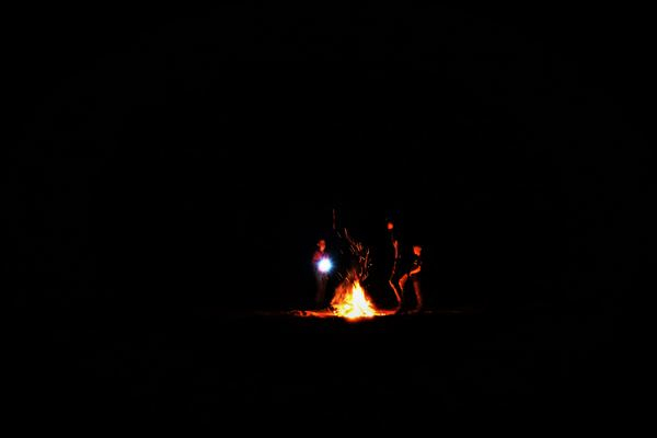 Free: silhouette photography of bone fire - nohat.cc