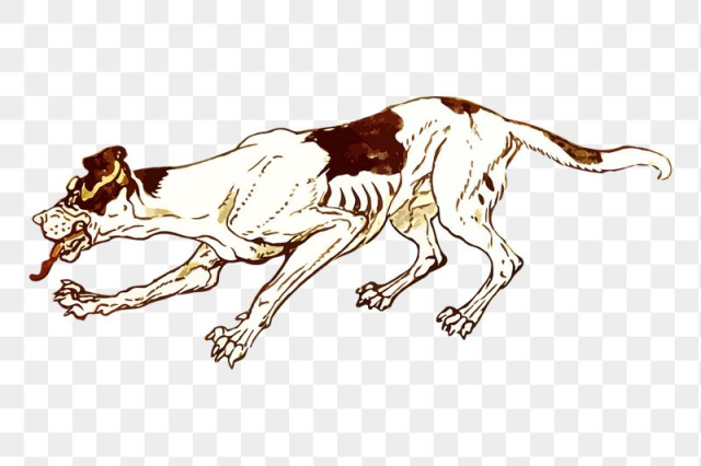 Free: Skinny dog png sticker illustration, | Free PNG - rawpixel - nohat.cc