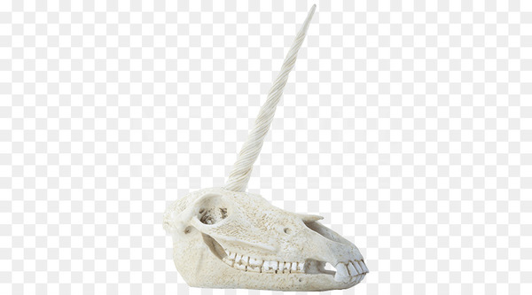 Free: Skull Bone Human skeleton Horn - skull - nohat.cc